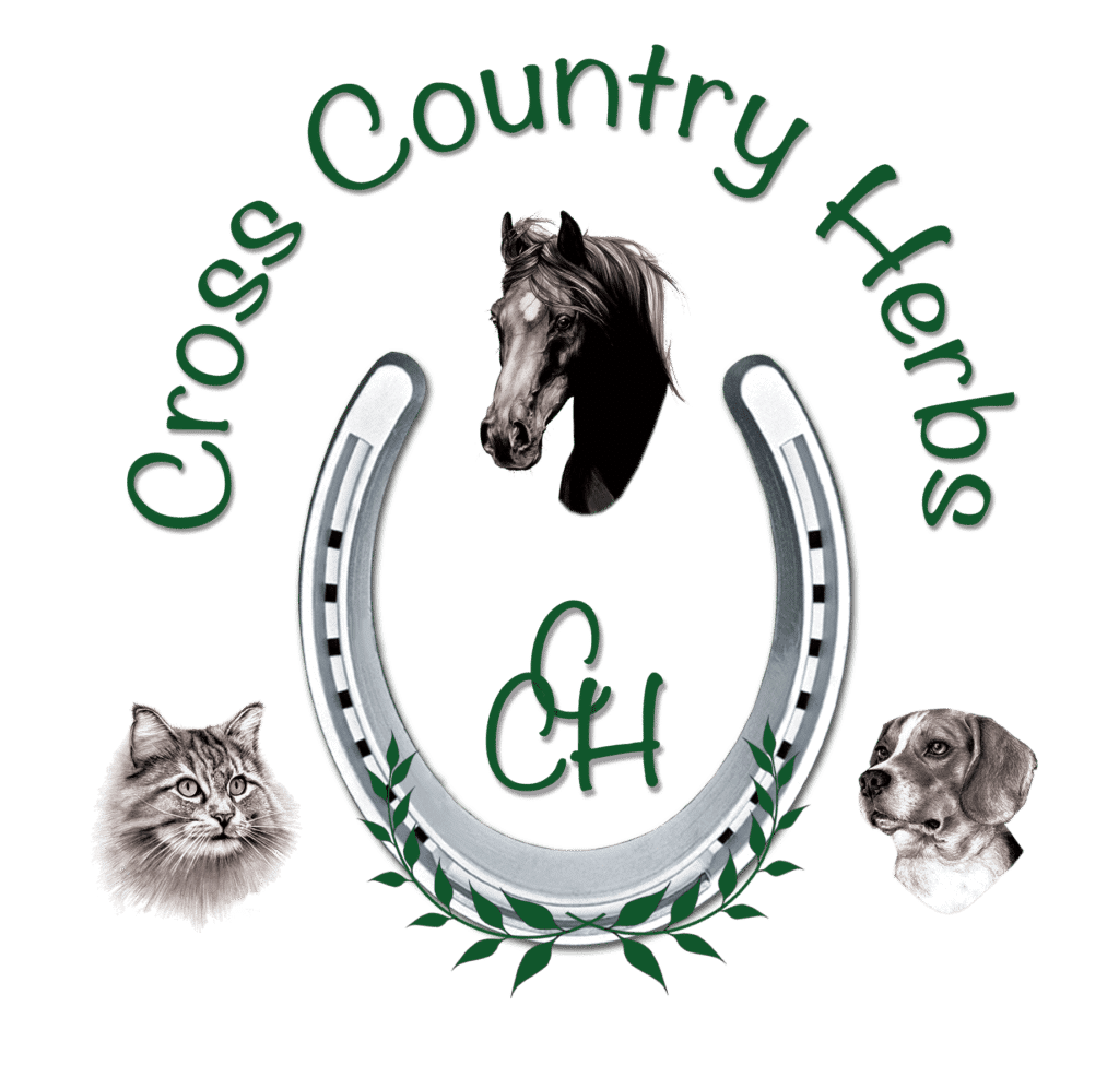 Tips & Råd Katt - Cross Country Herbs